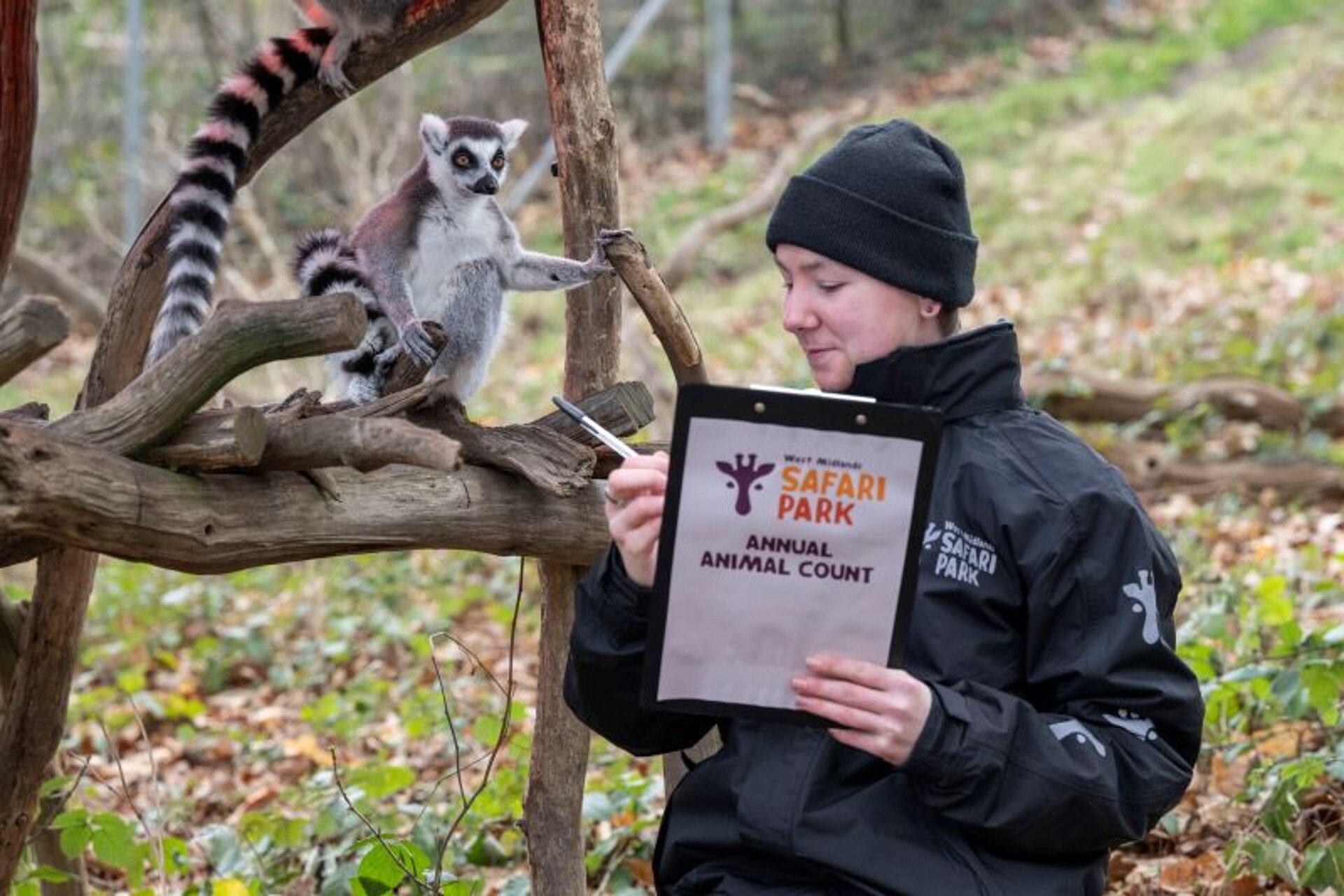 Aquarium de Touraine | Keepers Complete Annual Animal Count