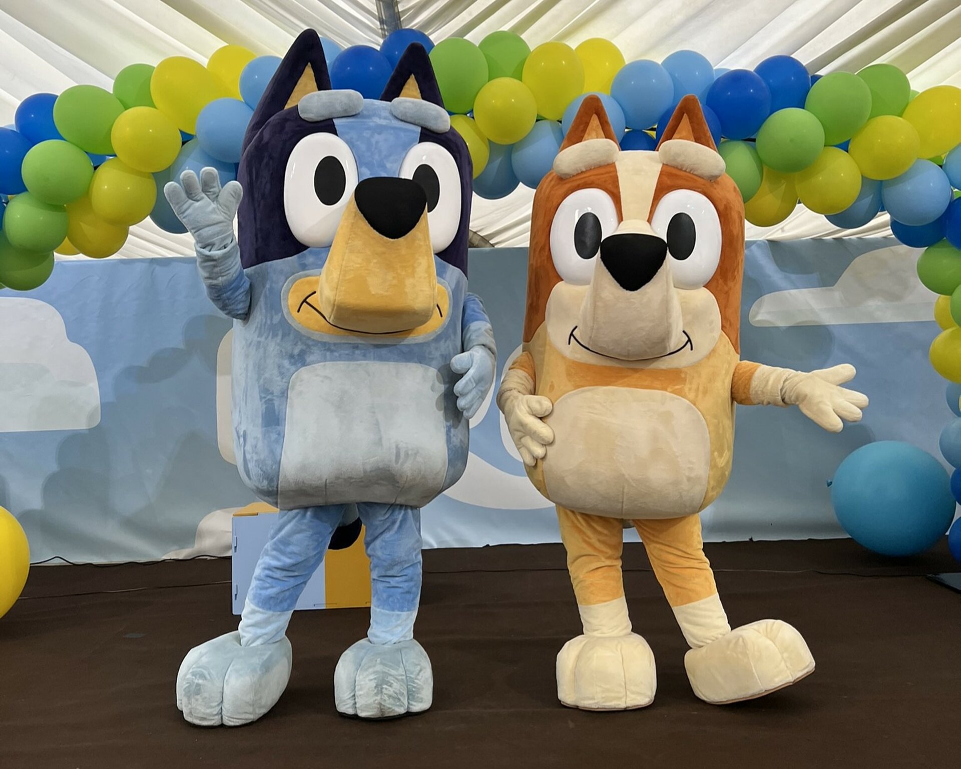 Aquarium de Touraine | Meet Bluey at West Midlands Safari Park this ...